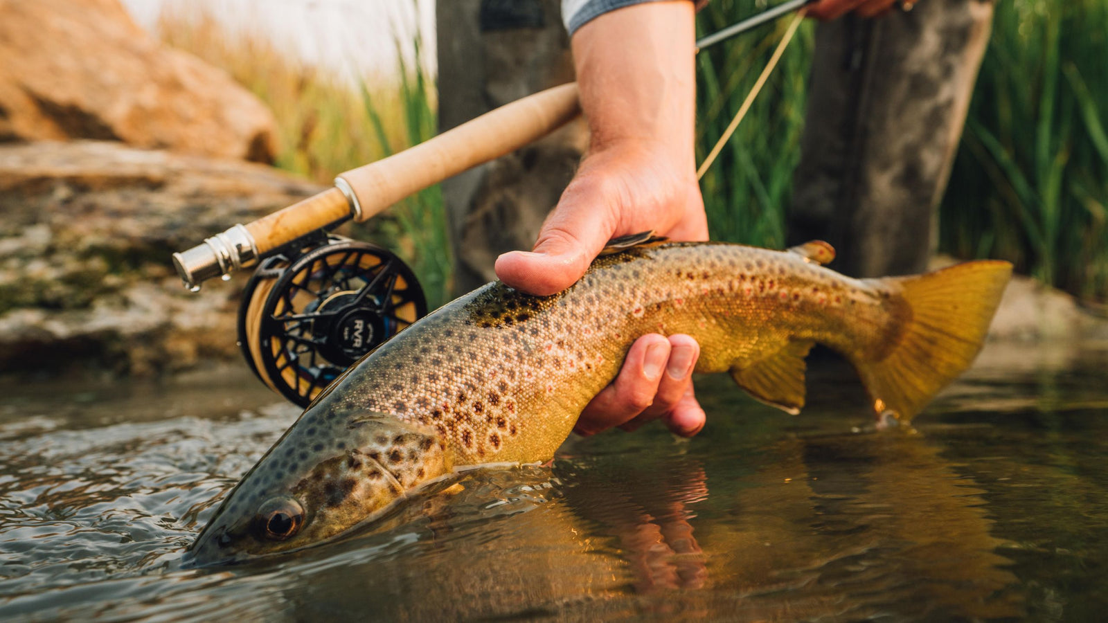 RVR Euro-Nymph Fly Fishing Reel – Bauer Fly Reels